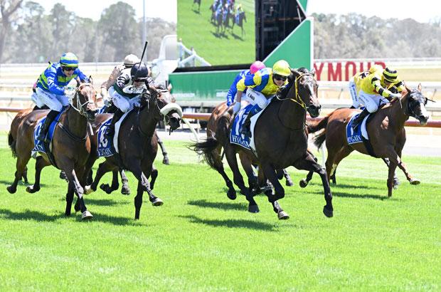 Daniel Pryor Saturday Horse Racing Tips 17/1/26